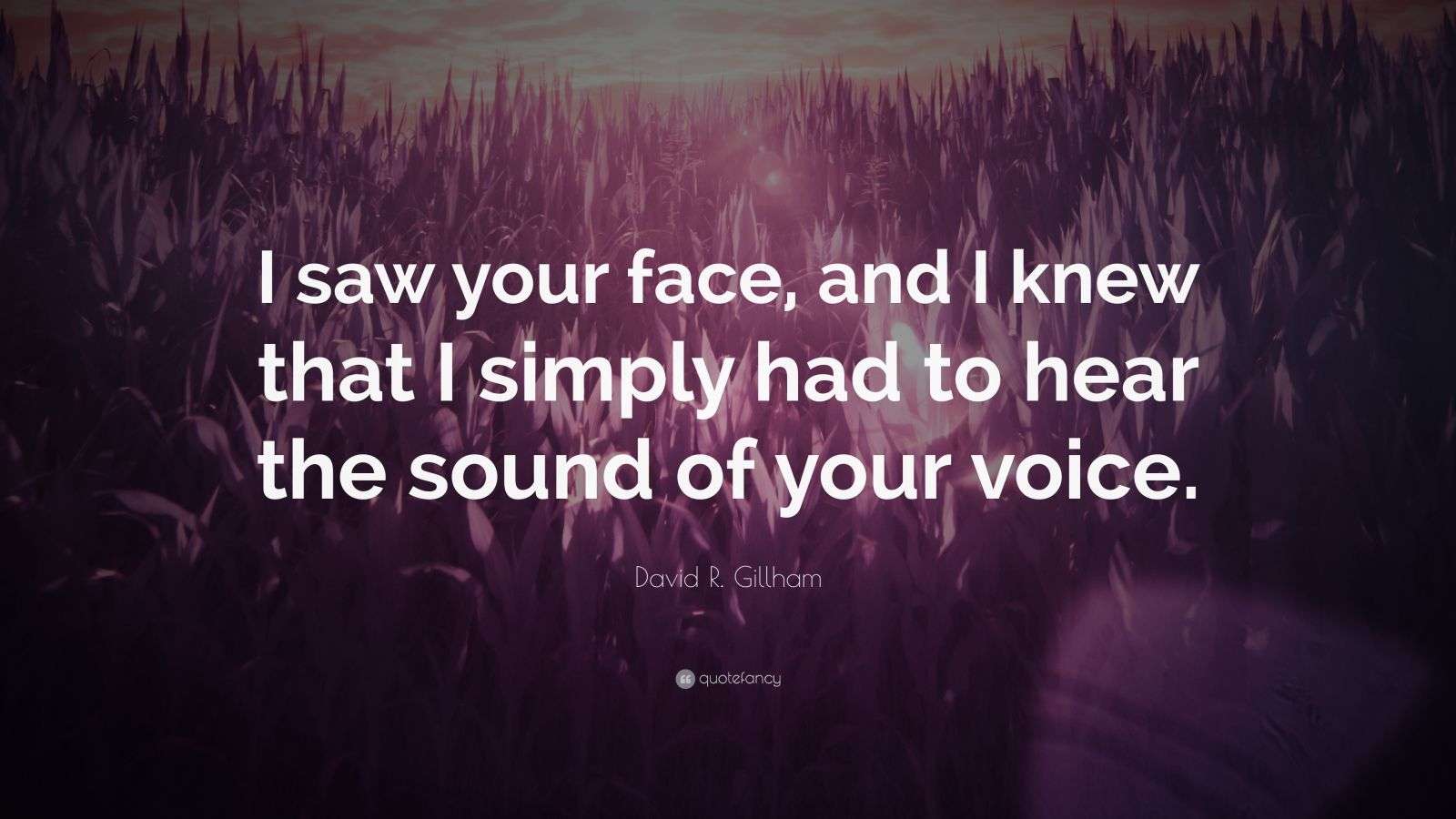 David R. Gillham Quote: “I saw your face, and I knew that I simply had ...