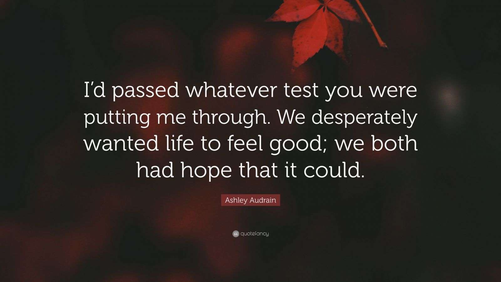 Ashley Audrain Quote: “I’d passed whatever test you were putting me ...