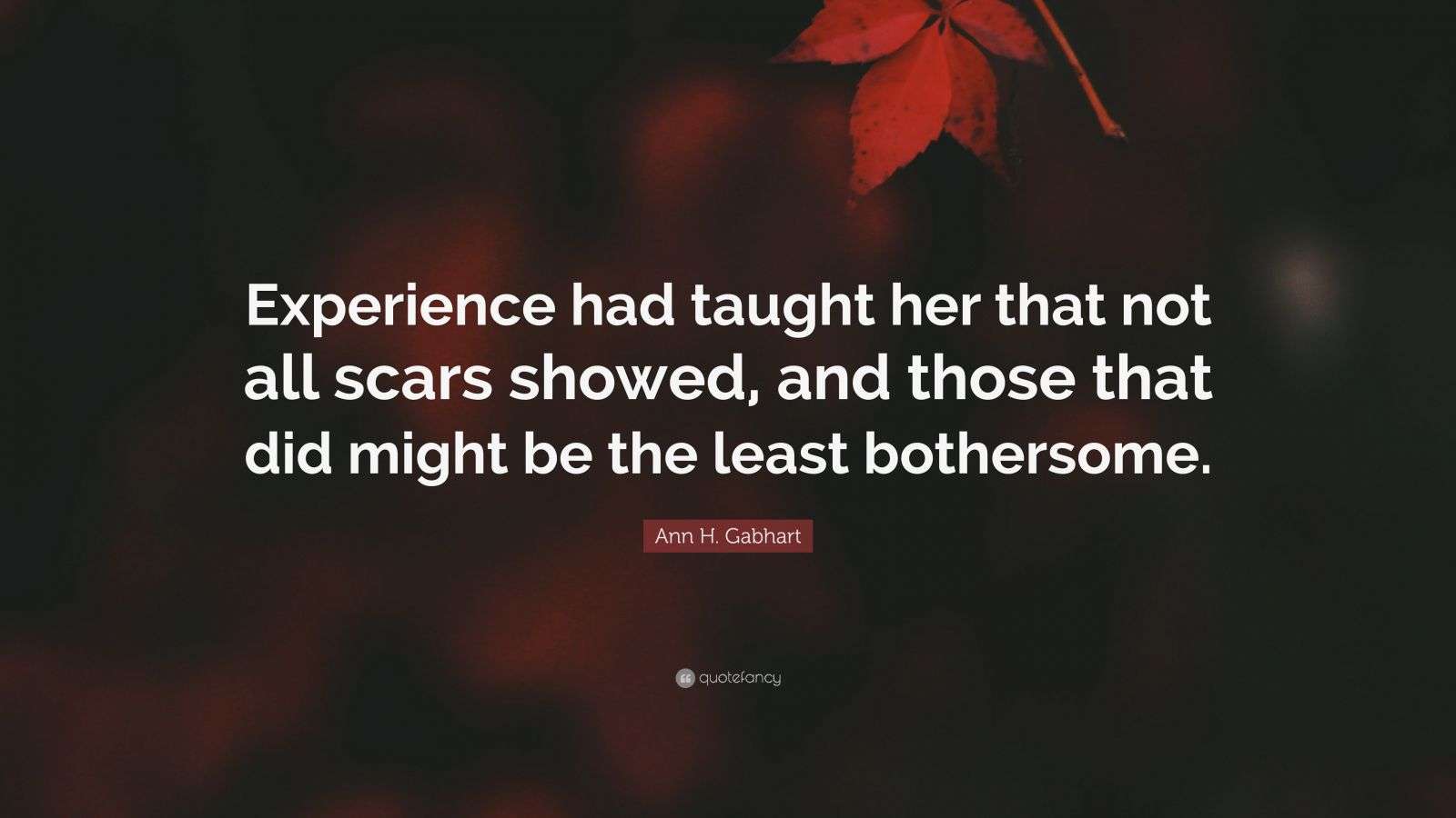 Ann H. Gabhart Quote: “Experience had taught her that not all scars ...