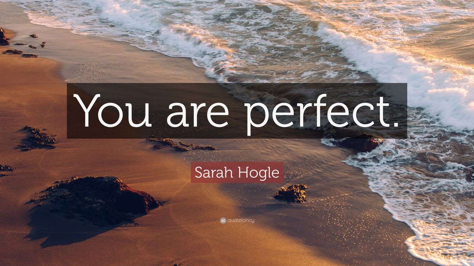 Sarah Hogle Quote: “You are perfect.”