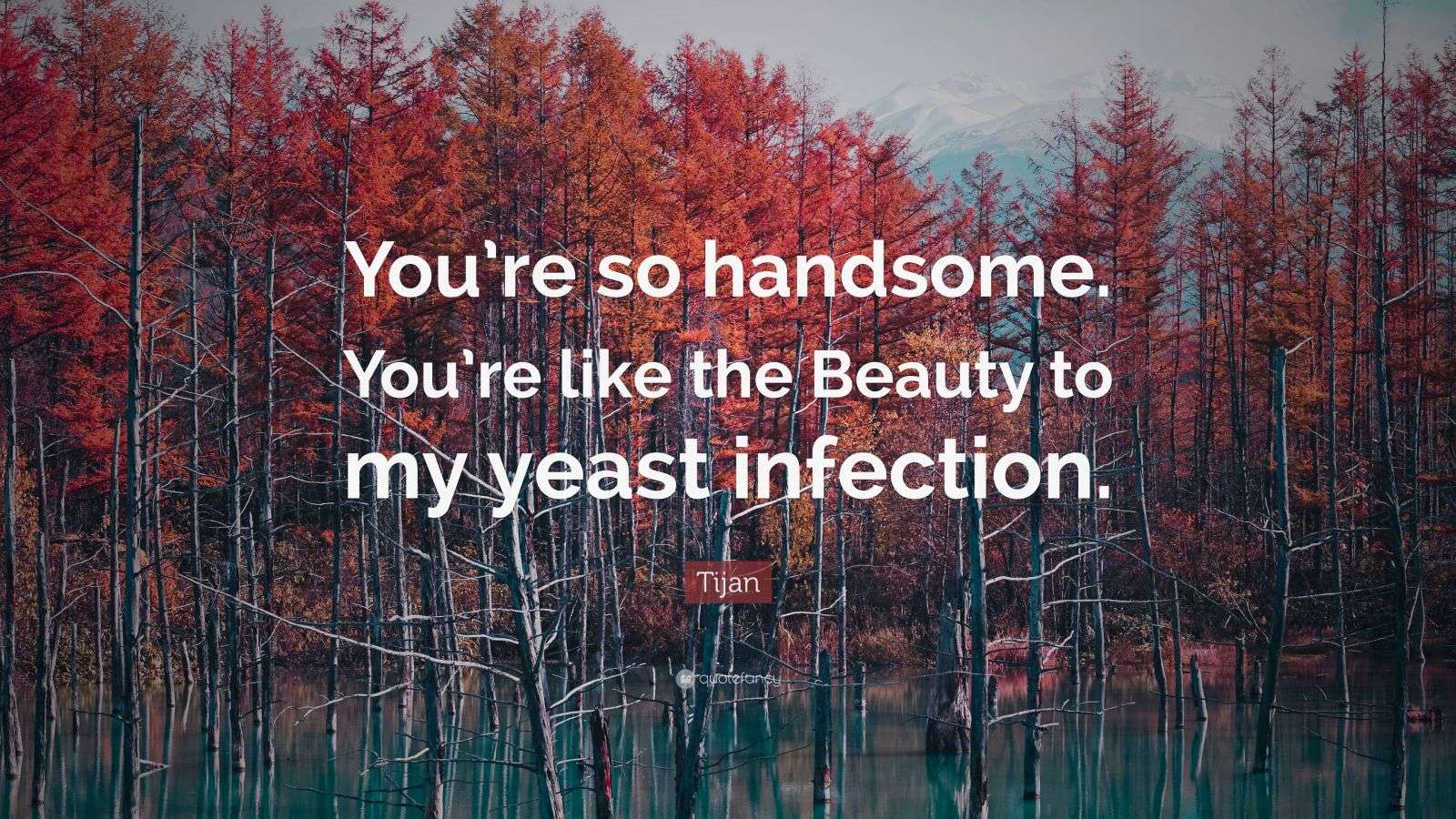 Tijan Quote: “You’re so handsome. You’re like the Beauty to my yeast ...
