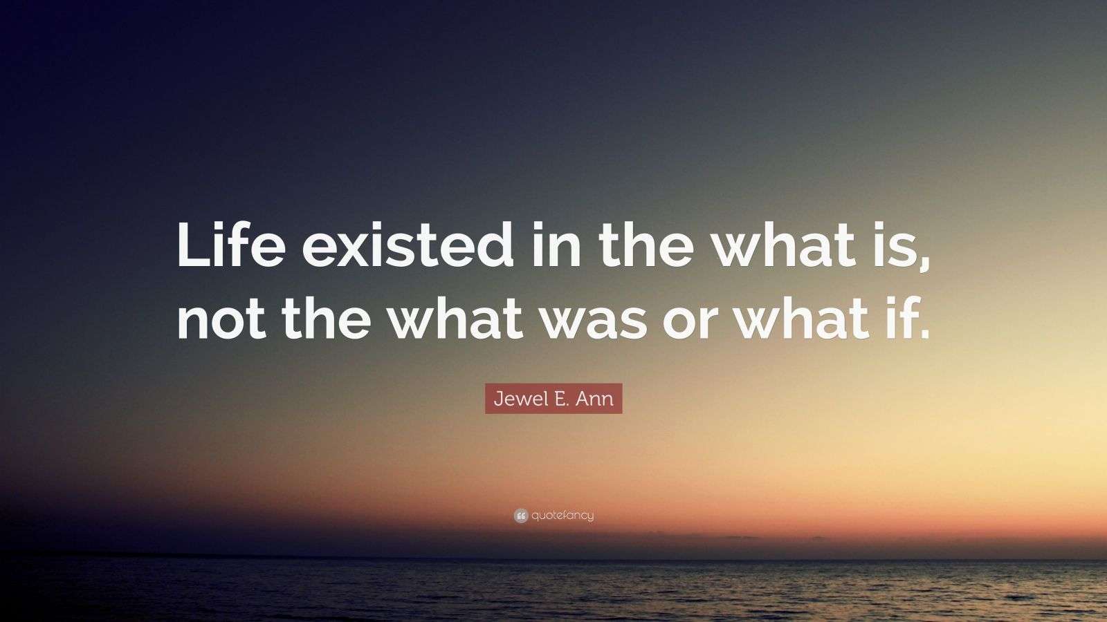 Jewel E. Ann Quote: “Life existed in the what is, not the what was or ...