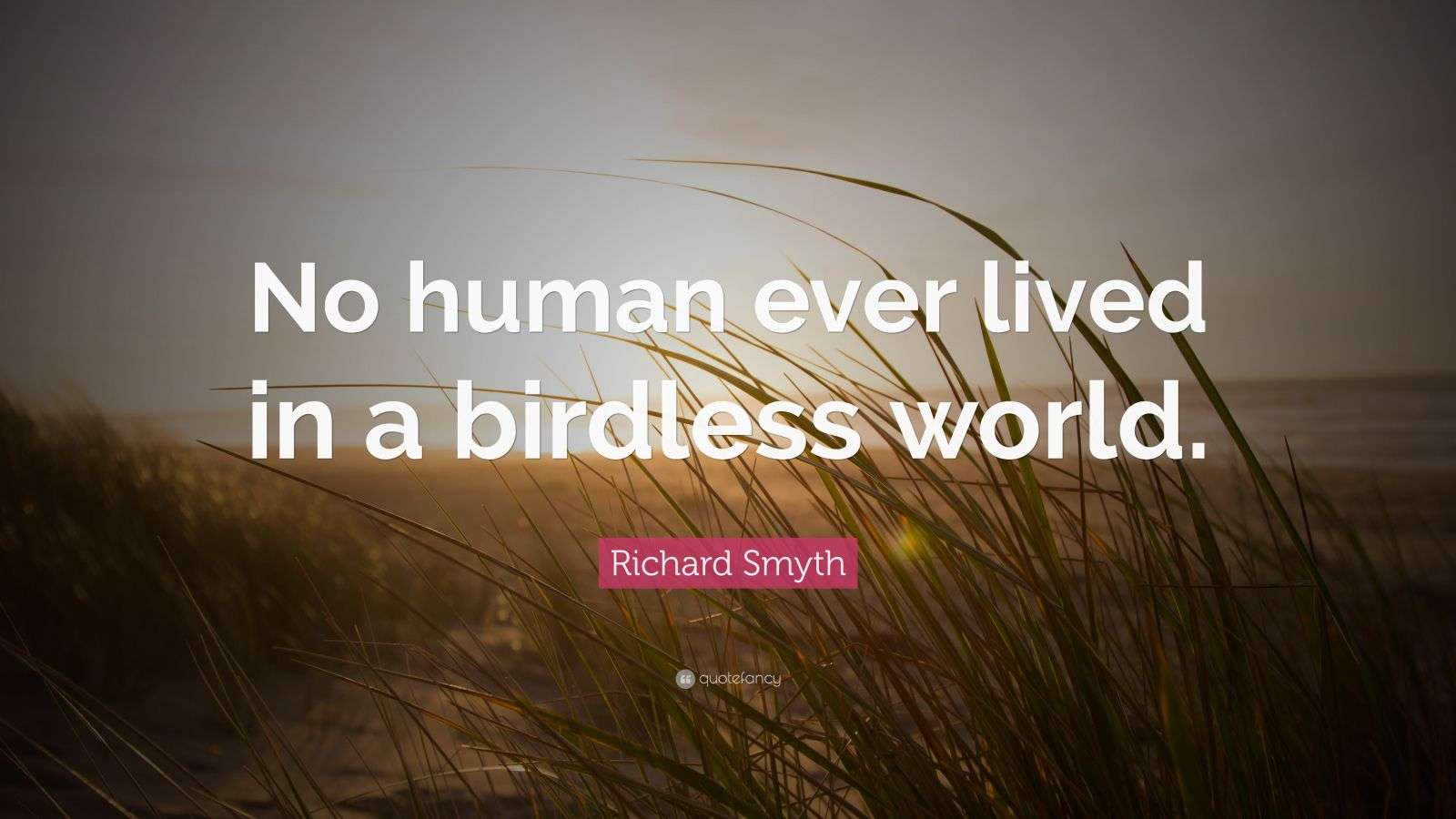 Richard Smyth Quote: “No human ever lived in a birdless world.”