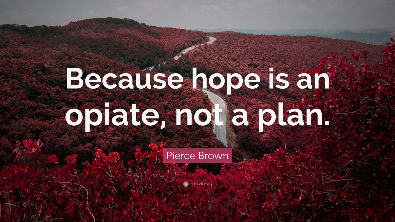 Pierce Brown Quote “because Hope Is An Opiate Not A Plan ”