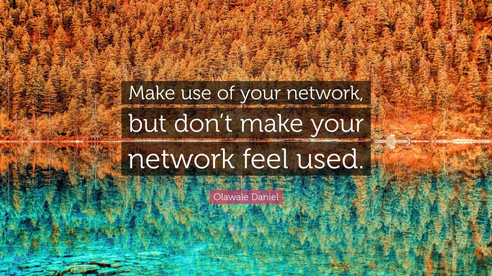 Olawale Daniel Quote: “Make use of your network, but don’t make your ...