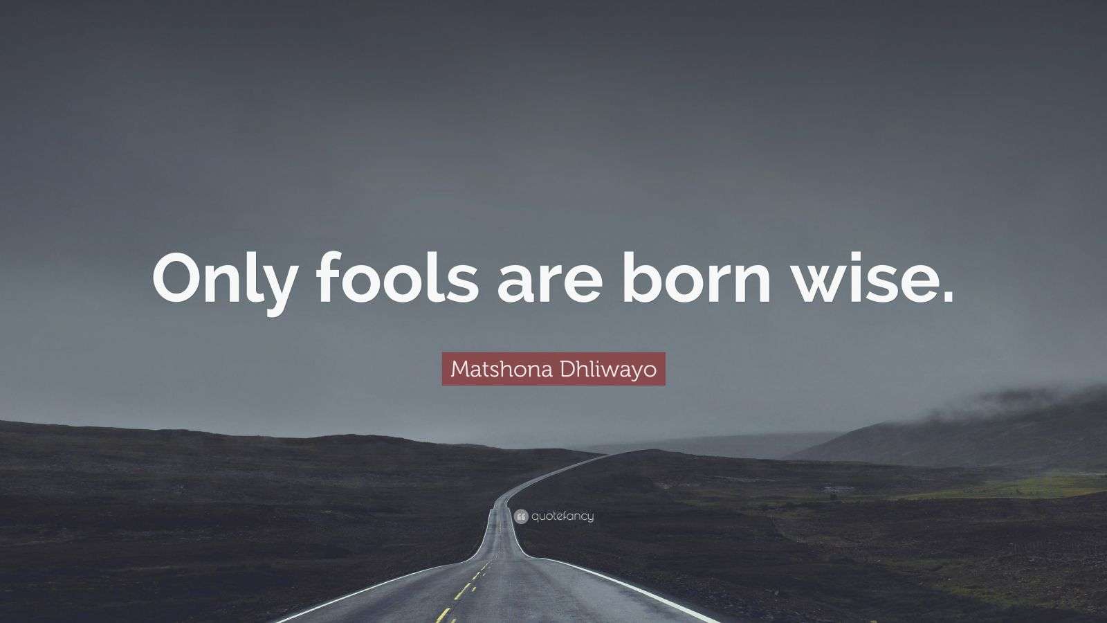 Matshona Dhliwayo Quote: “Only fools are born wise.”