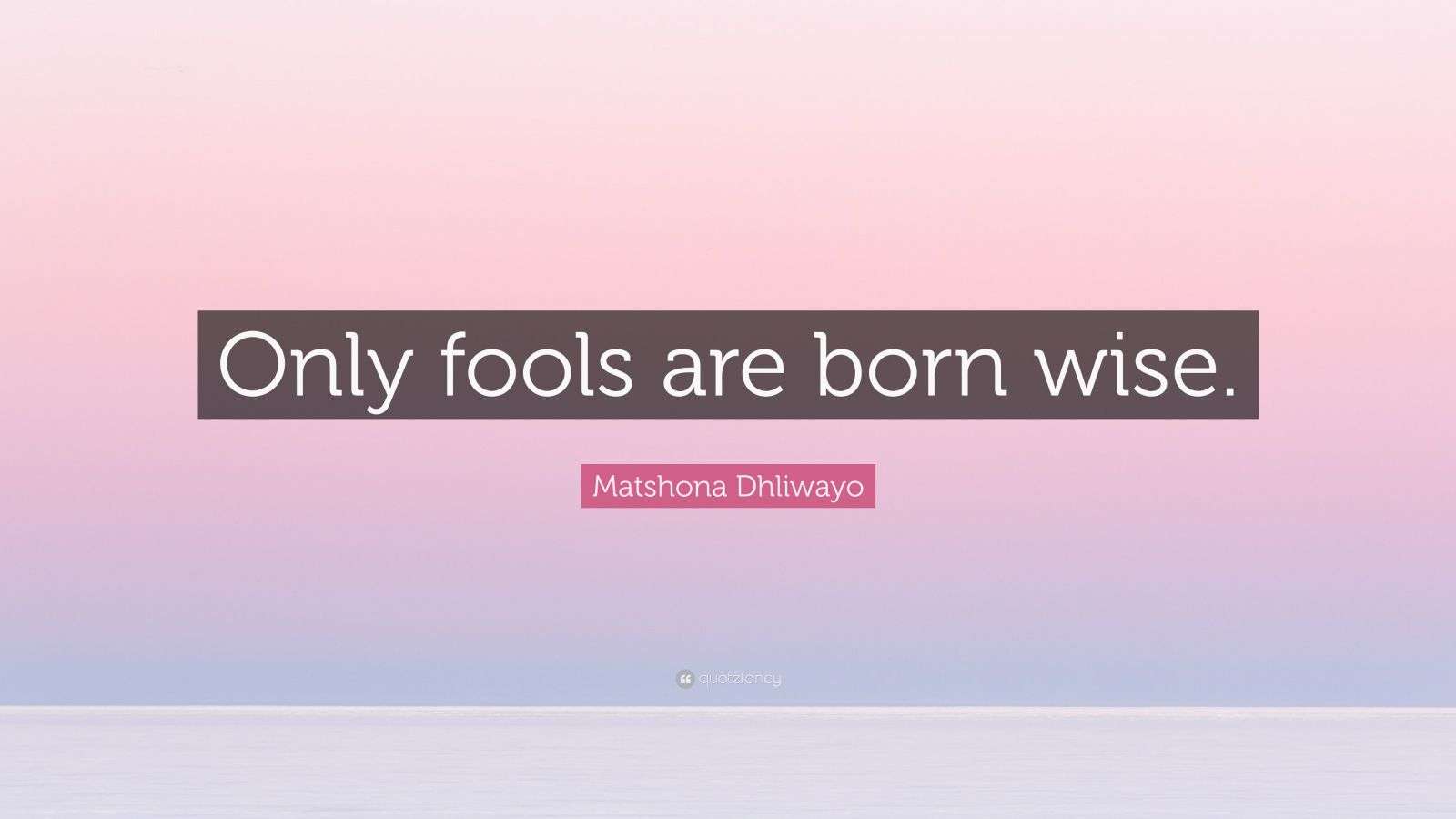 Matshona Dhliwayo Quote: “Only fools are born wise.”
