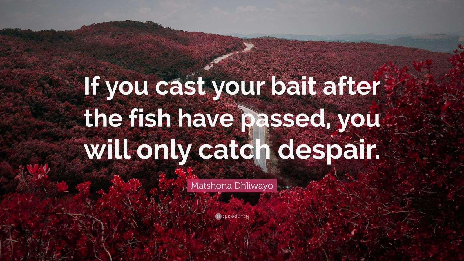 Matshona Dhliwayo Quote: “If you cast your bait after the fish have ...