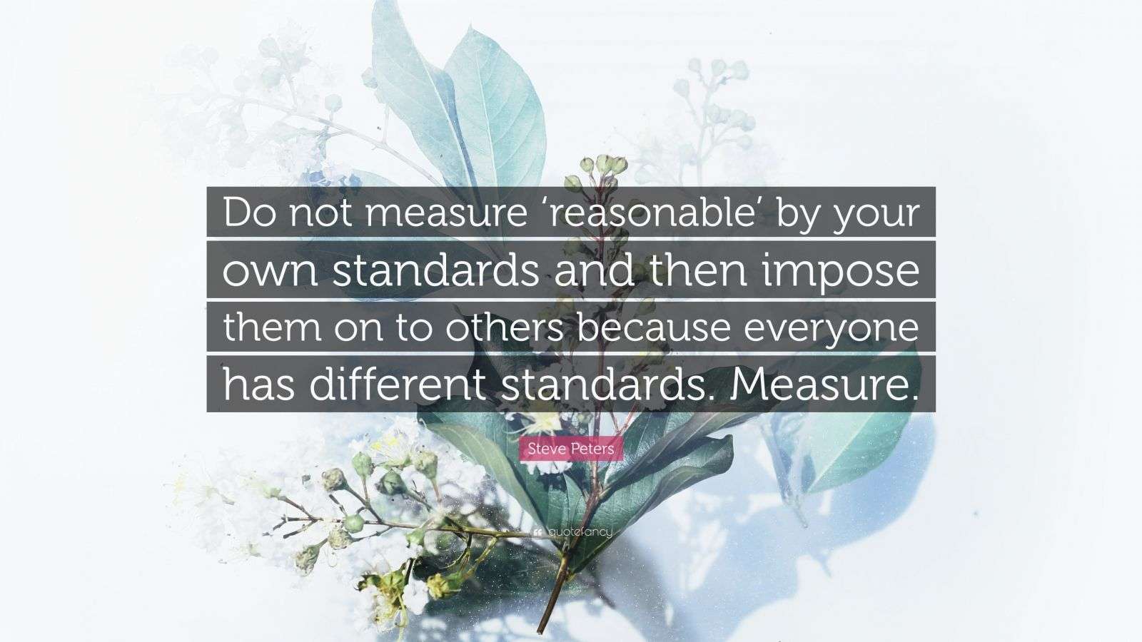 Steve Peters Quote: “Do not measure ‘reasonable’ by your own standards ...