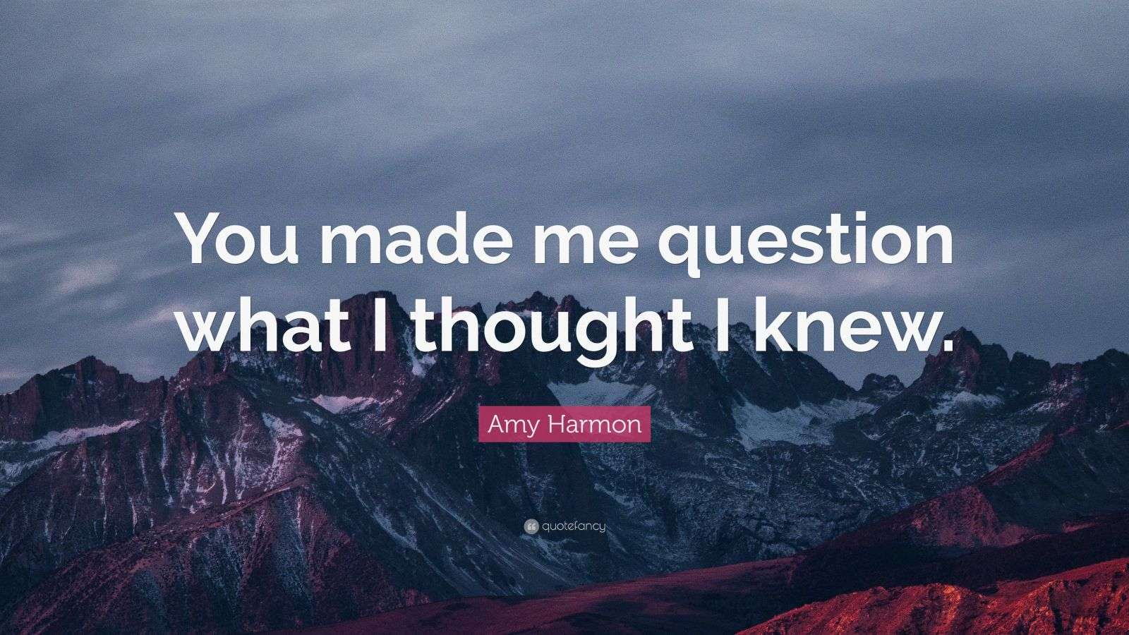 Amy Harmon Quote: “You made me question what I thought I knew.”