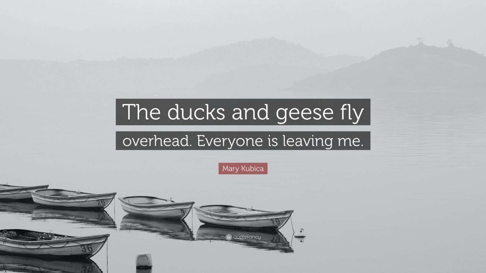 Mary Kubica Quote: “The ducks and geese fly overhead. Everyone is ...