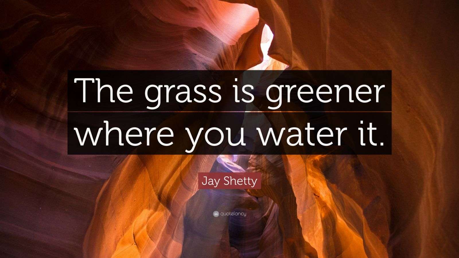 Jay Shetty Quote: “The grass is greener where you water it.”