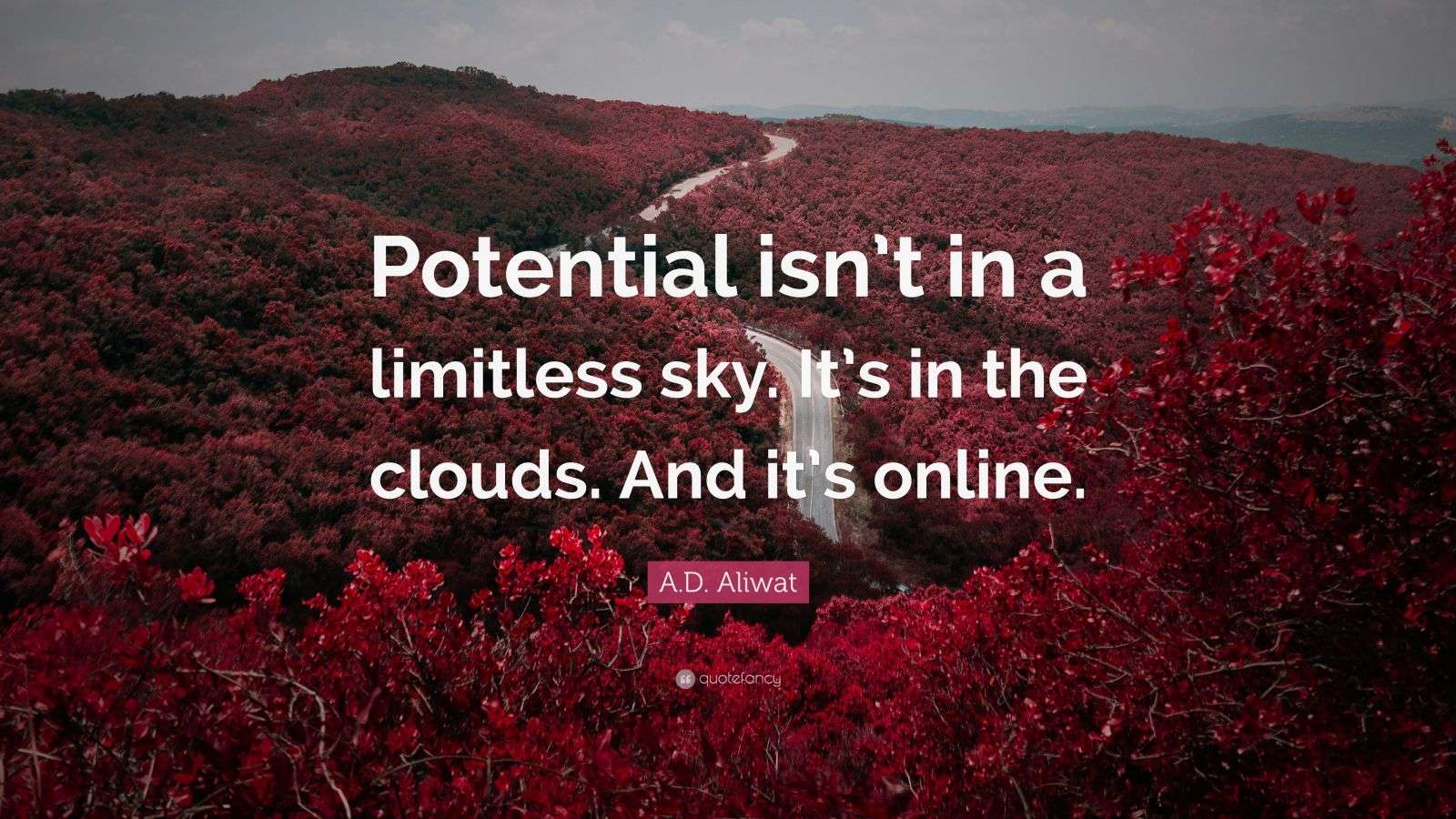 A.D. Aliwat Quote: “Potential isn’t in a limitless sky. It’s in the ...