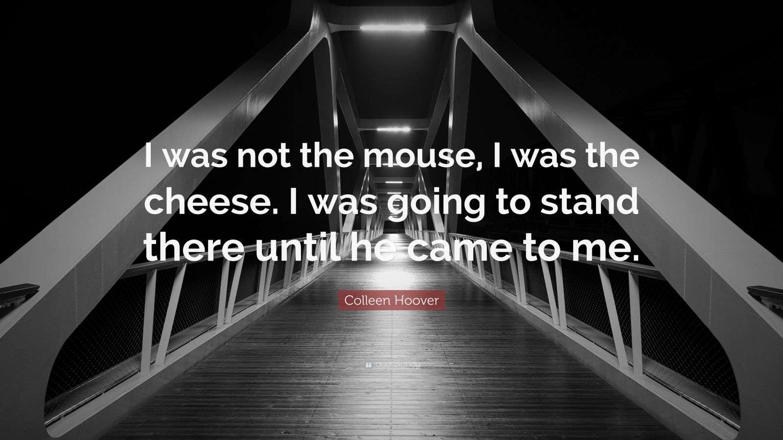 Colleen Hoover Quote: “I was not the mouse, I was the cheese. I was ...