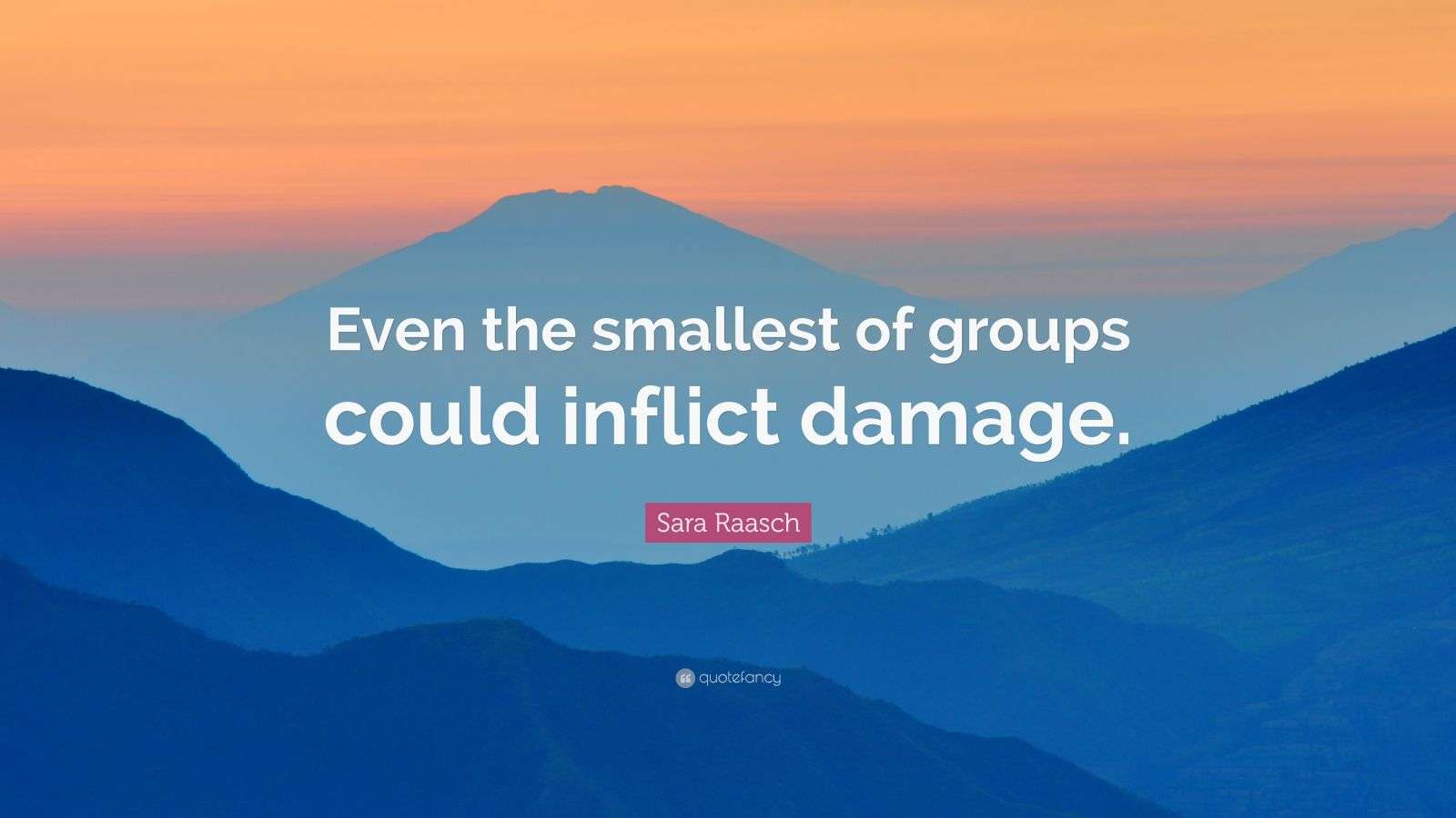 Sara Raasch Quote: “Even the smallest of groups could inflict damage.”