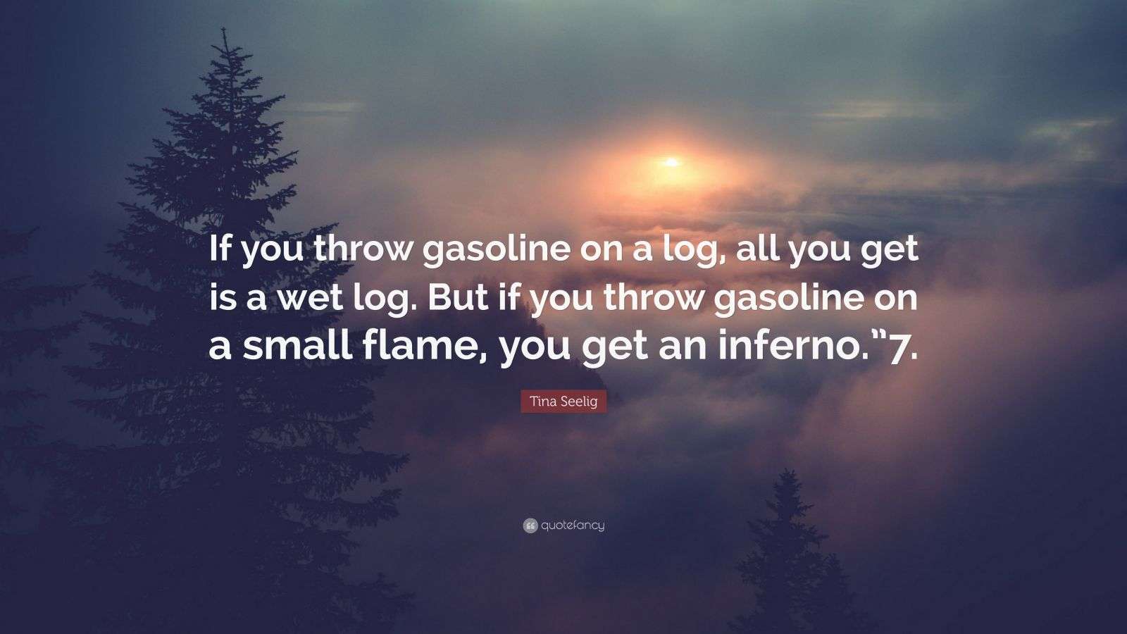 Tina Seelig Quote: “If you throw gasoline on a log, all you get is a ...