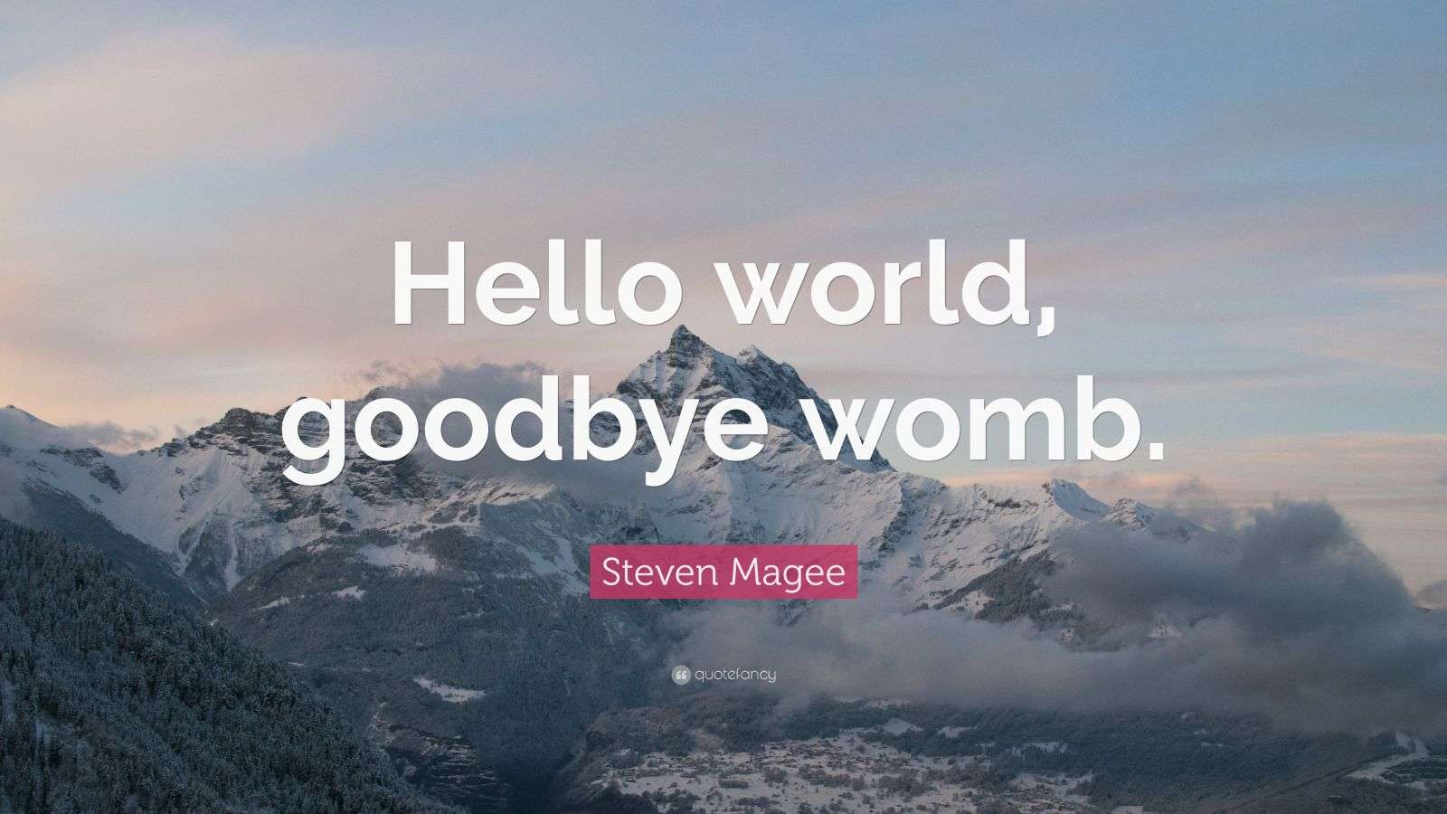 Steven Magee Quote: “Hello world, goodbye womb.”