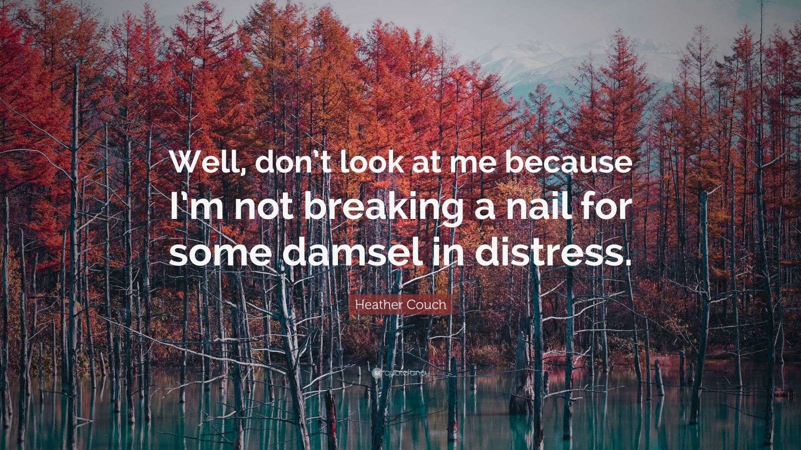 Heather Couch Quote: “Well, don’t look at me because I’m not breaking a ...