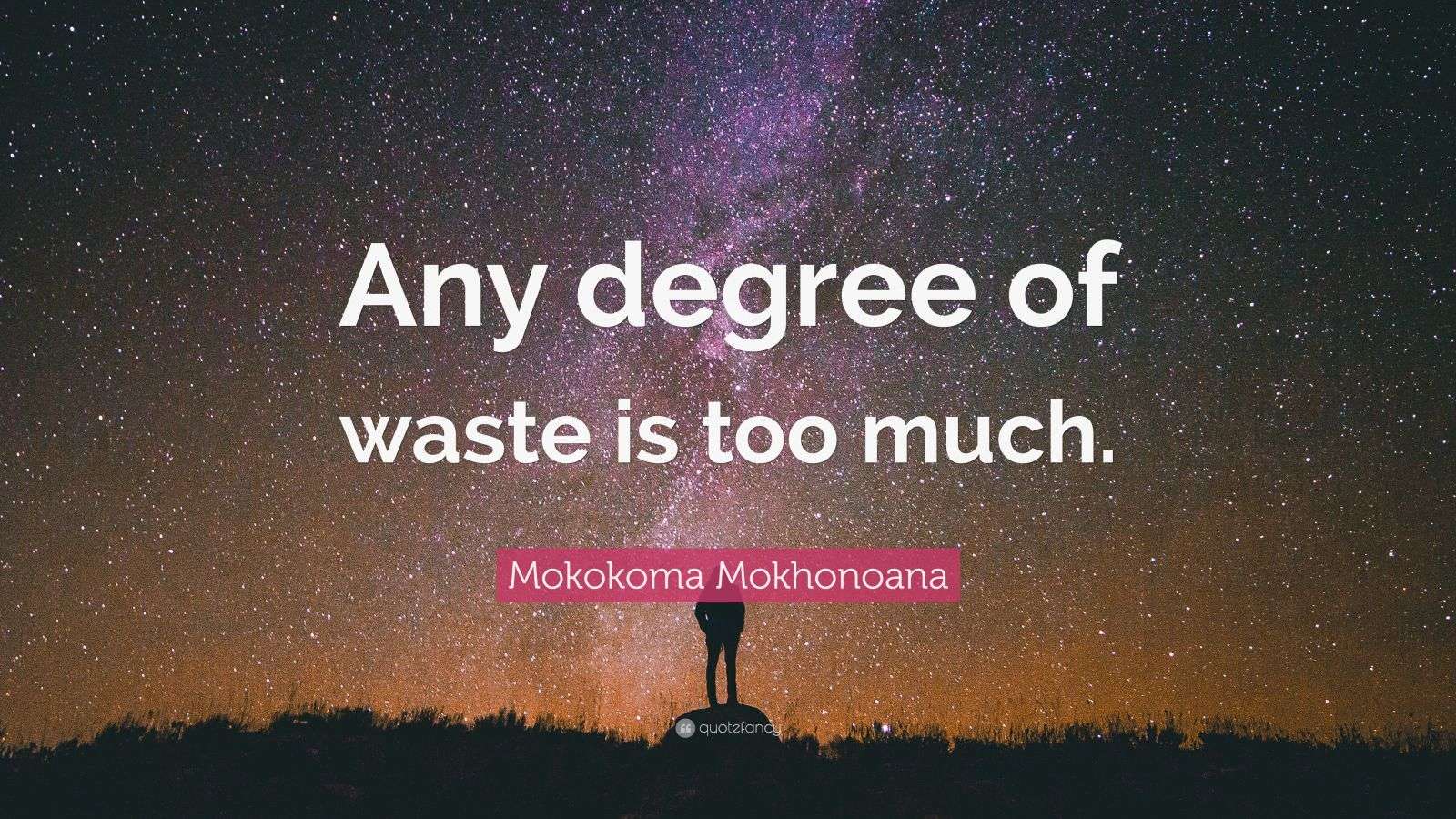 Mokokoma Mokhonoana Quote: “Any degree of waste is too much.”