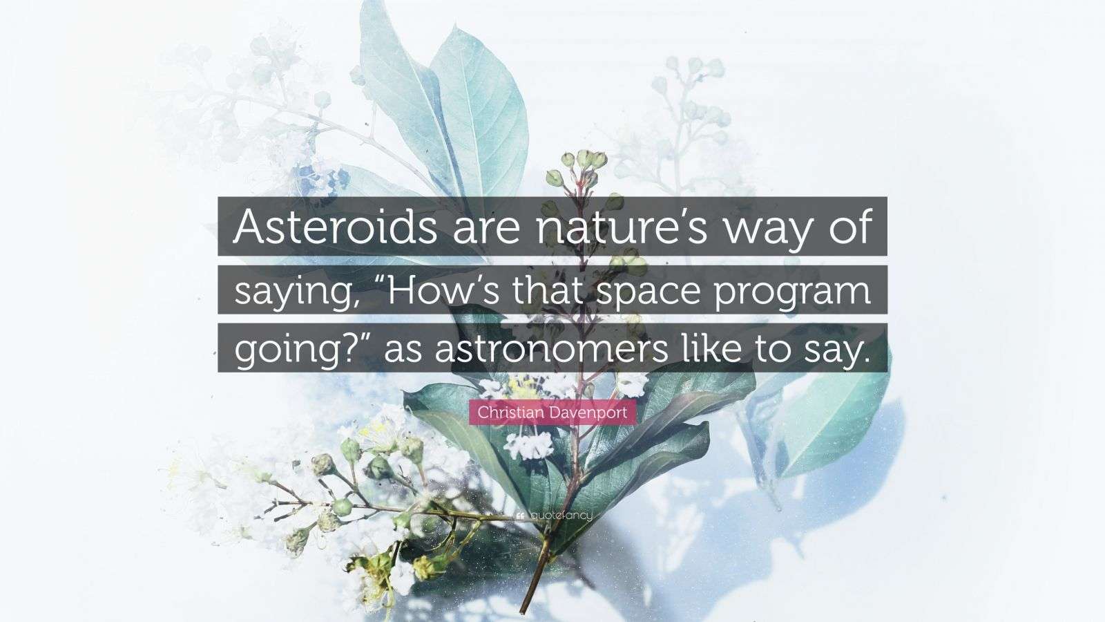 Christian Davenport Quote: “Asteroids are nature’s way of saying, “How ...