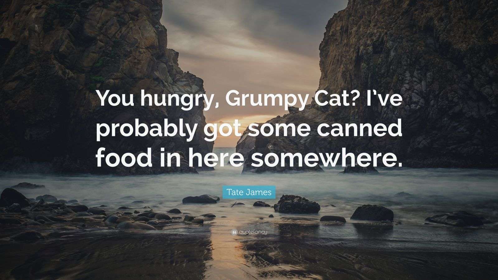Tate James Quote: “You hungry, Grumpy Cat? I’ve probably got some ...