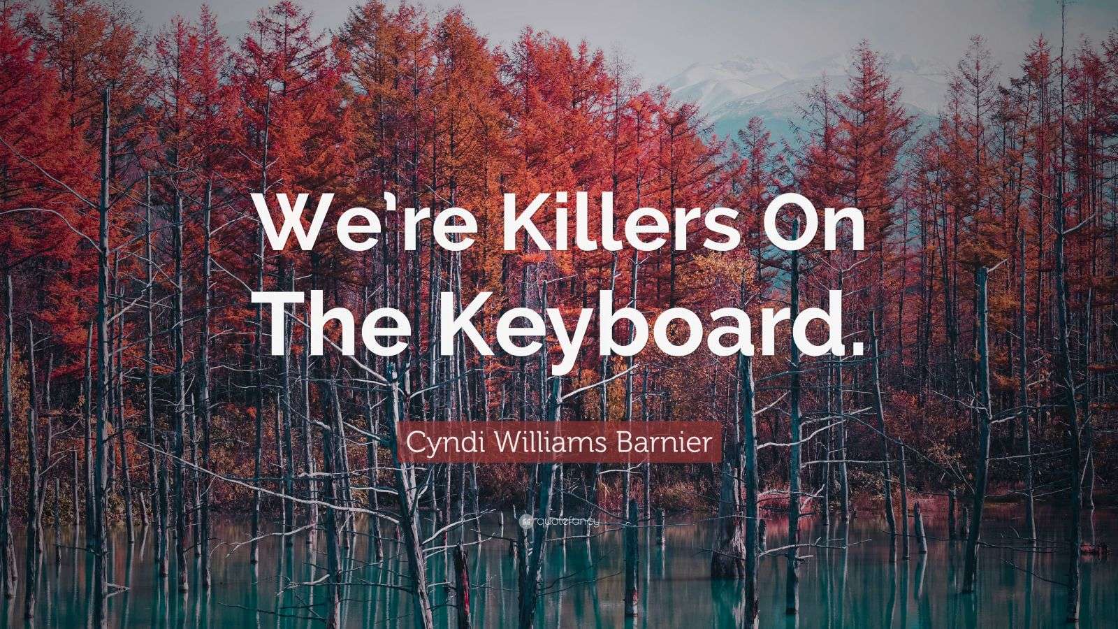 Cyndi Williams Barnier Quote: “We’re Killers On The Keyboard.”