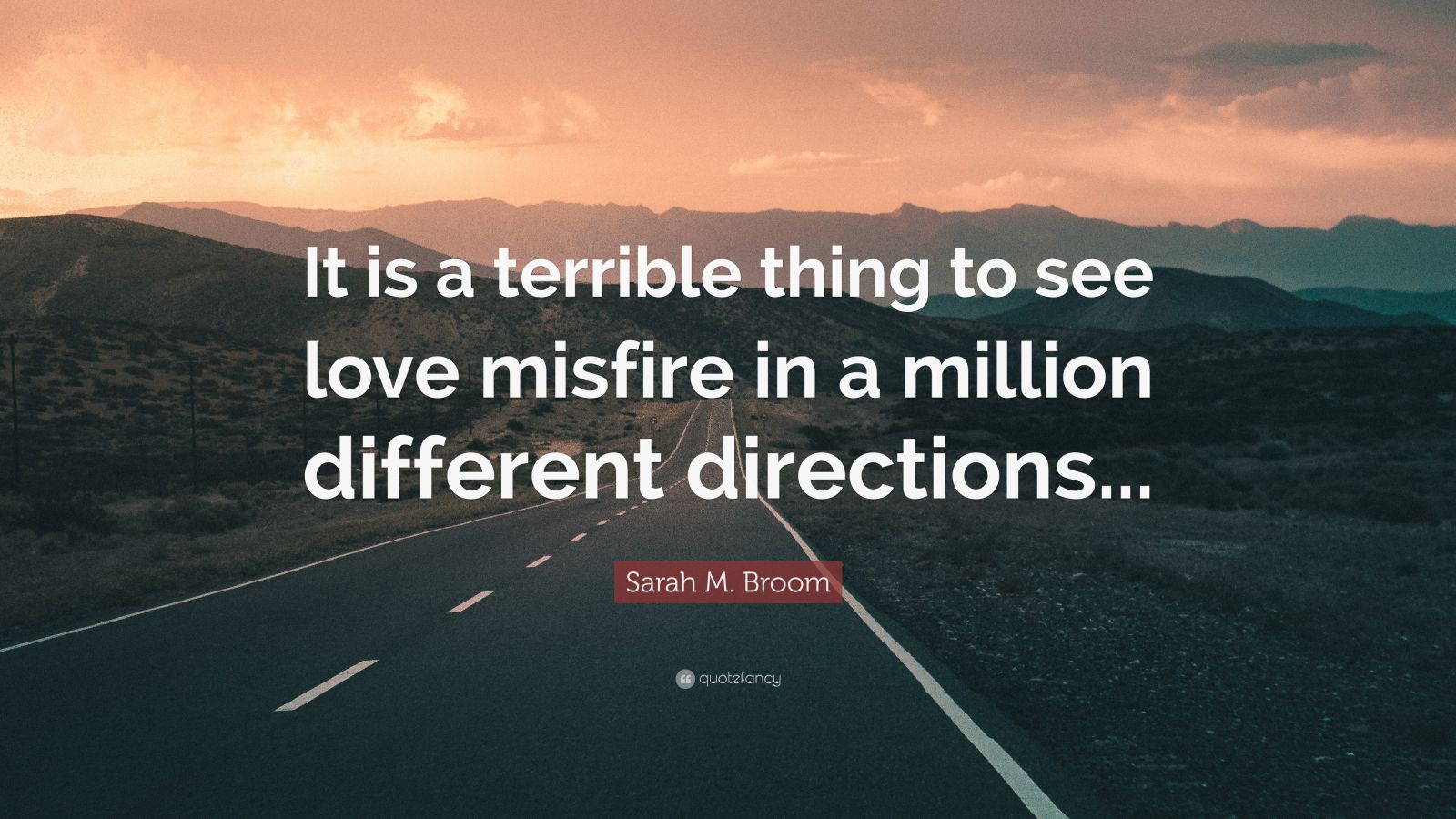 Sarah M. Broom Quote: “It is a terrible thing to see love misfire in a ...