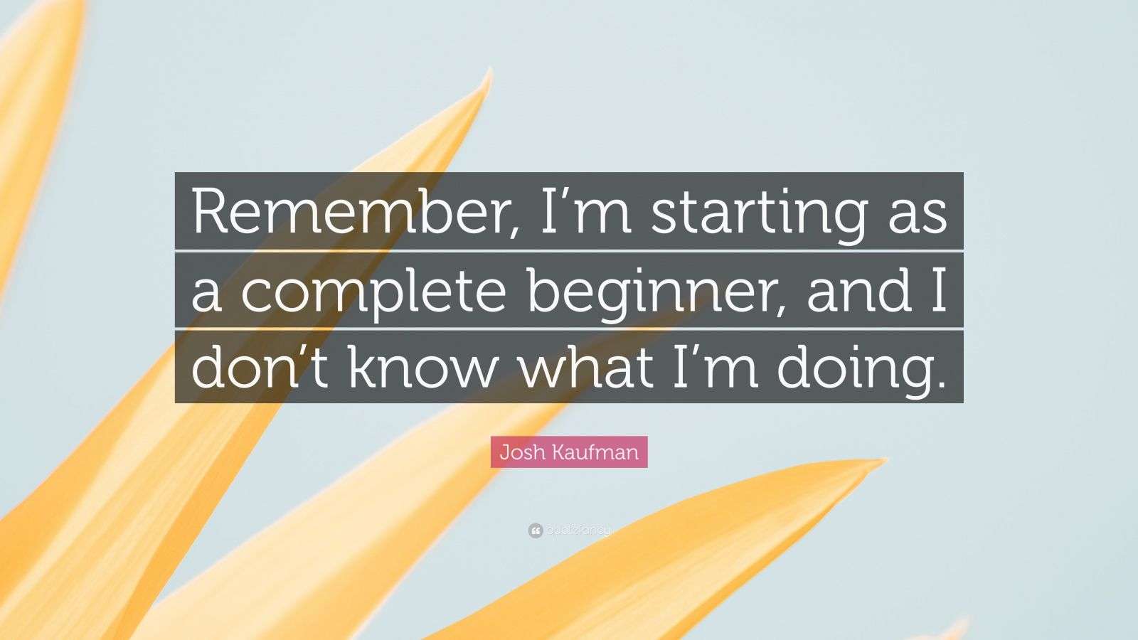 Josh Kaufman Quote: “Remember, I’m starting as a complete beginner, and ...