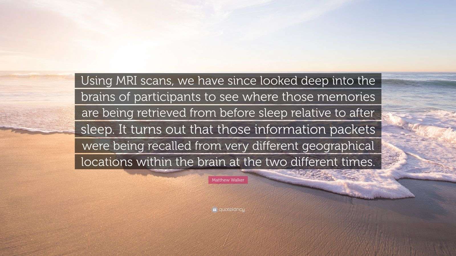 Matthew Walker Quote: “Using MRI scans, we have since looked deep into ...