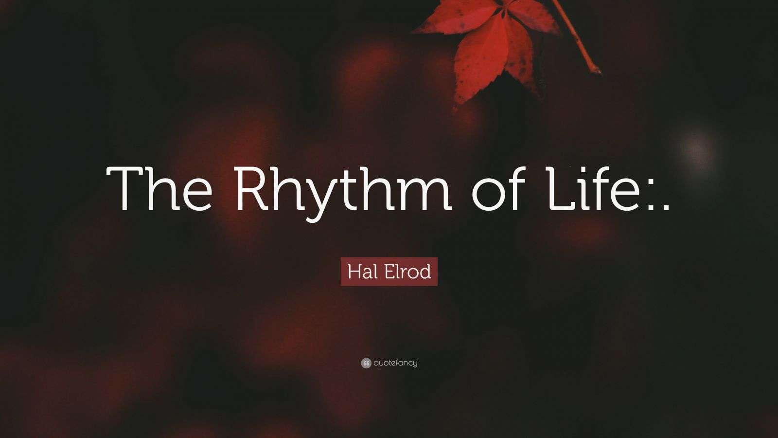 Hal Elrod Quote: “The Rhythm of Life:.”
