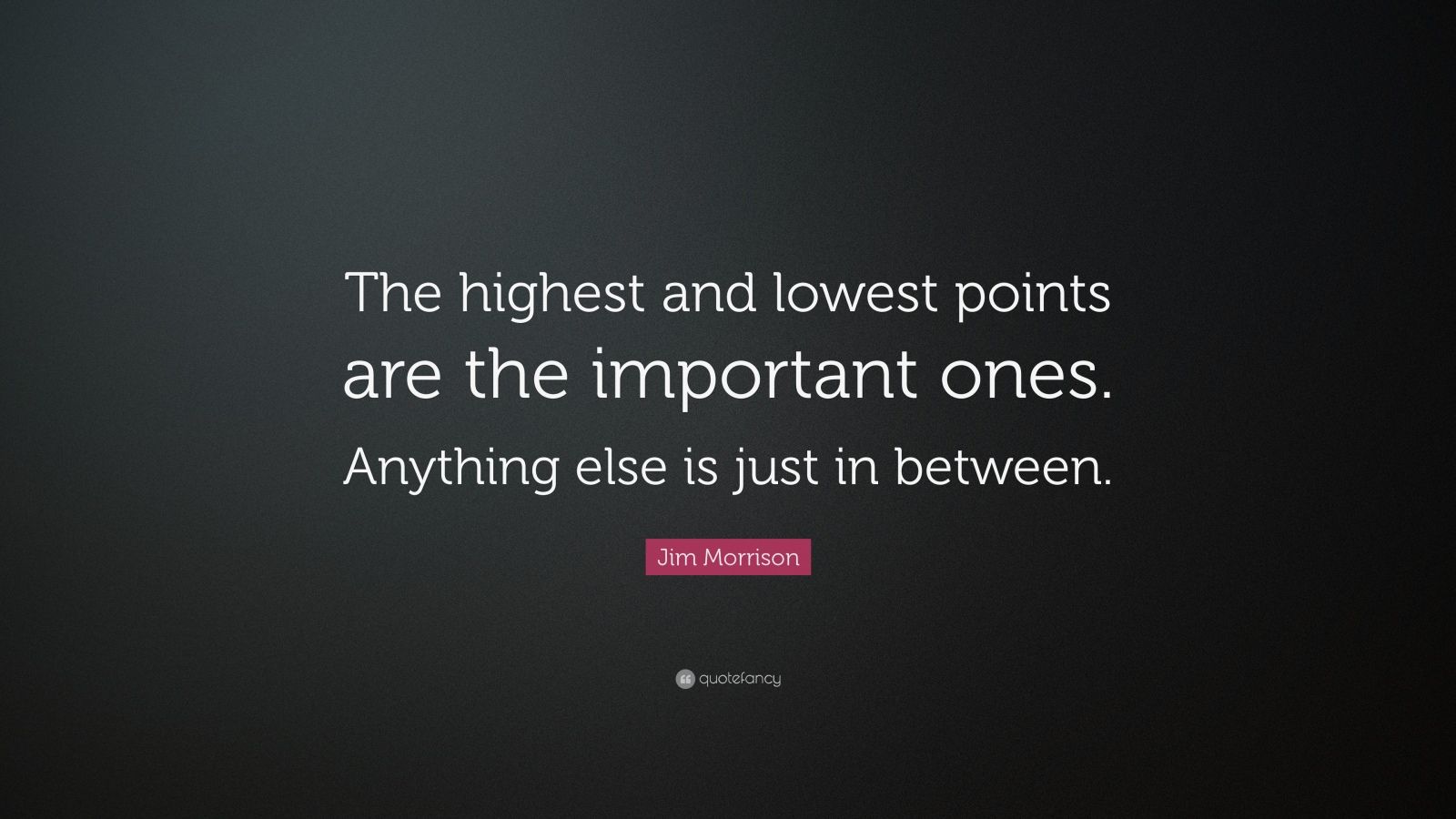 Jim Morrison Quote: “The highest and lowest points are the important ...
