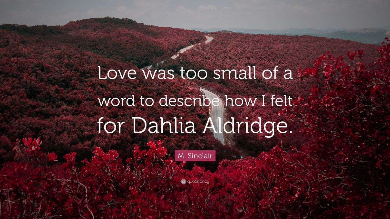 M. Sinclair Quote: “Love was too small of a word to describe how I felt ...