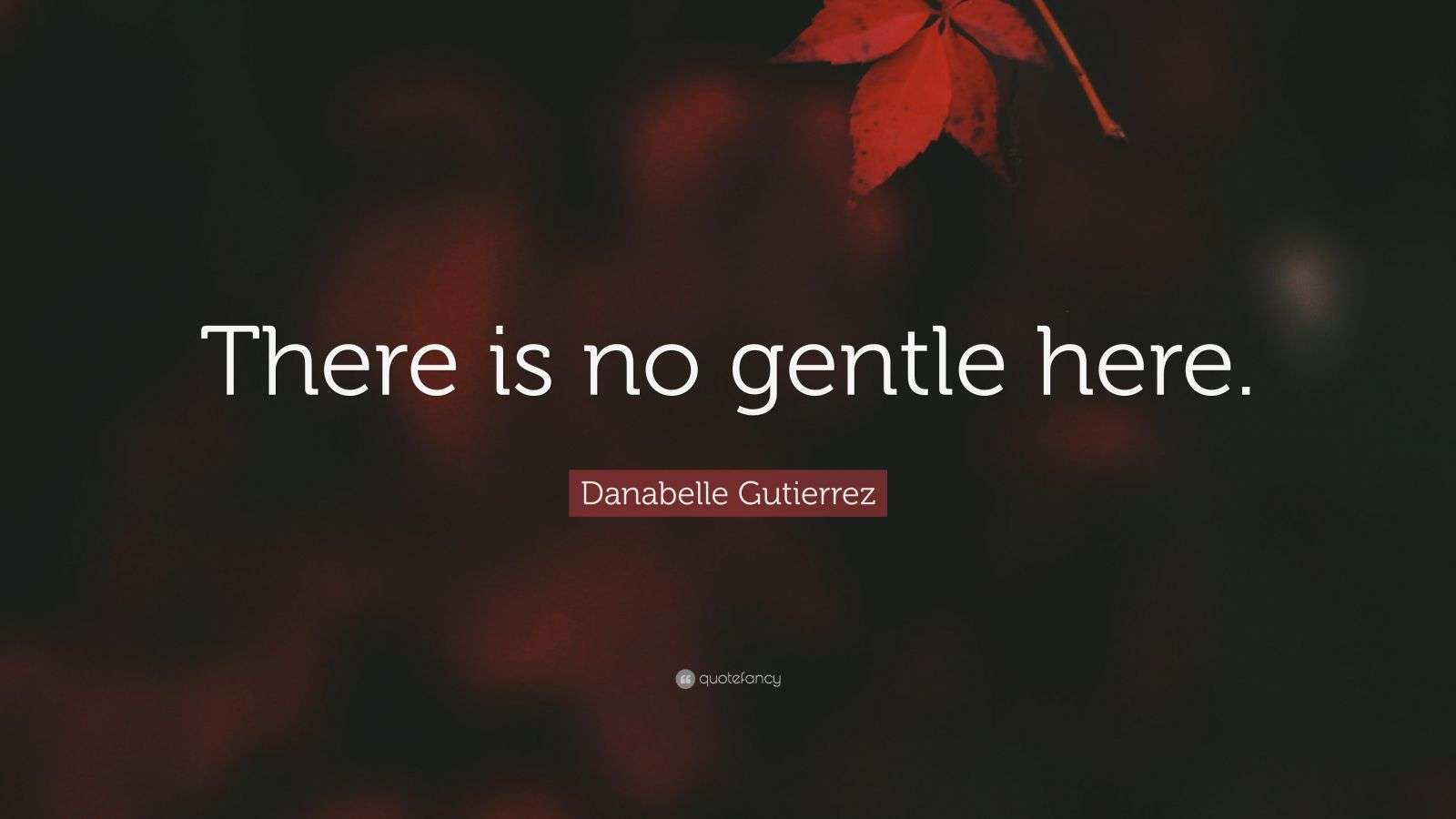 Danabelle Gutierrez Quote: “There is no gentle here.”