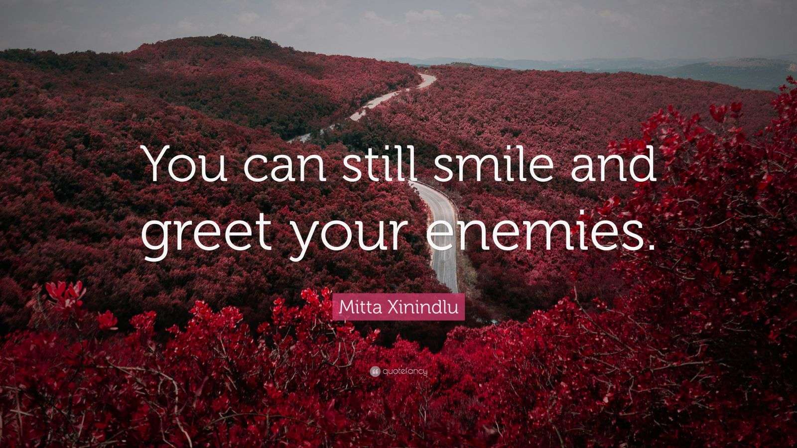 Mitta Xinindlu Quote: “You can still smile and greet your enemies.”