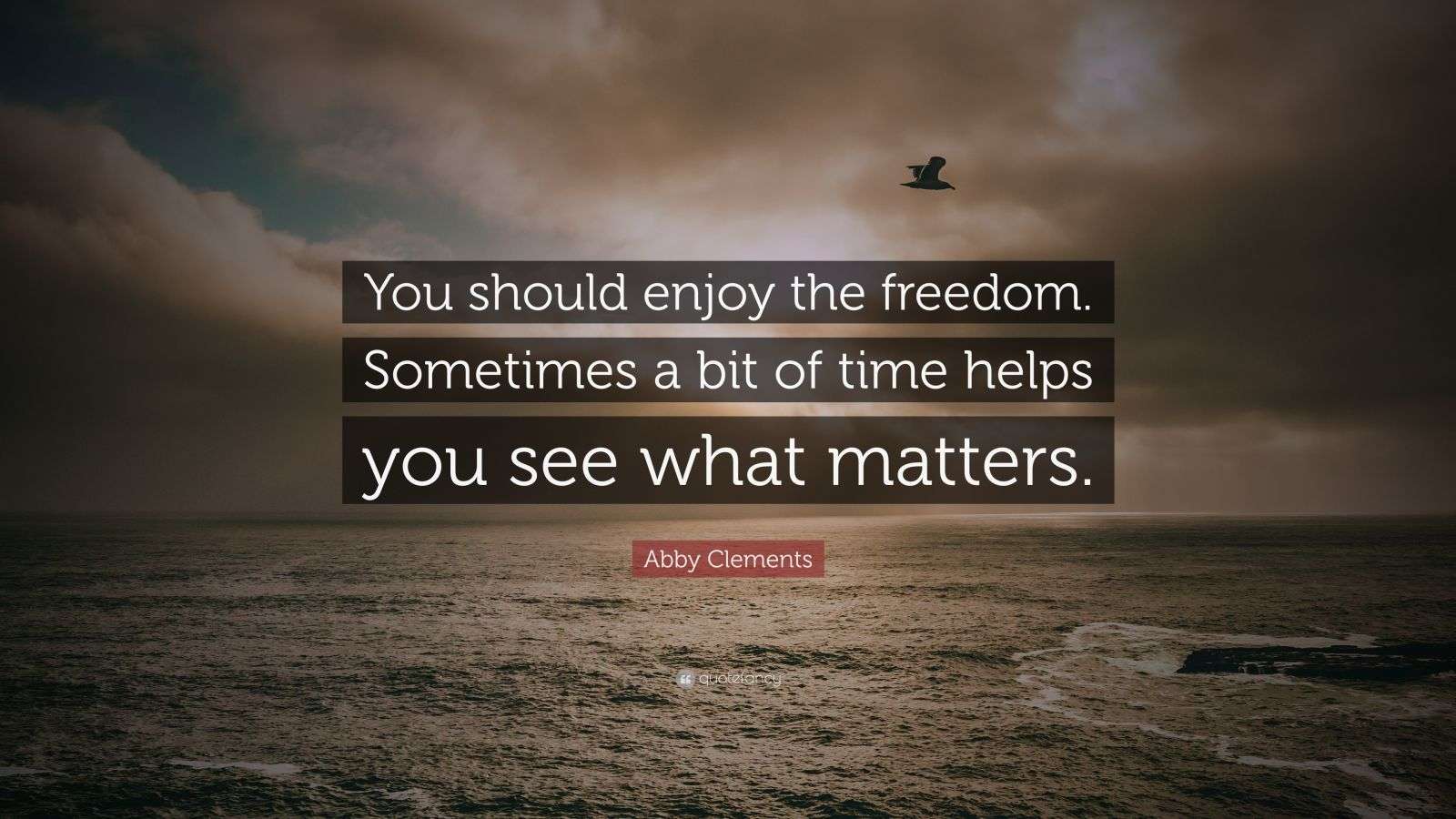 Abby Clements Quote: “You should enjoy the freedom. Sometimes a bit of ...