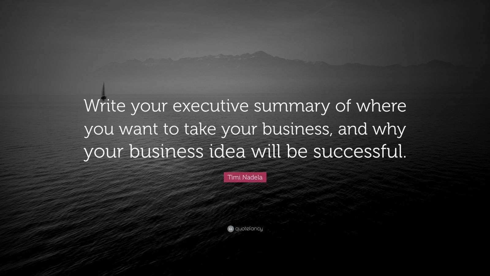 Timi Nadela Quote: “Write your executive summary of where you want to ...