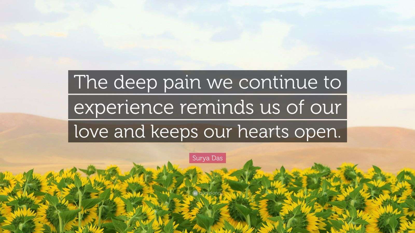 Surya Das Quote: “The deep pain we continue to experience reminds us of ...
