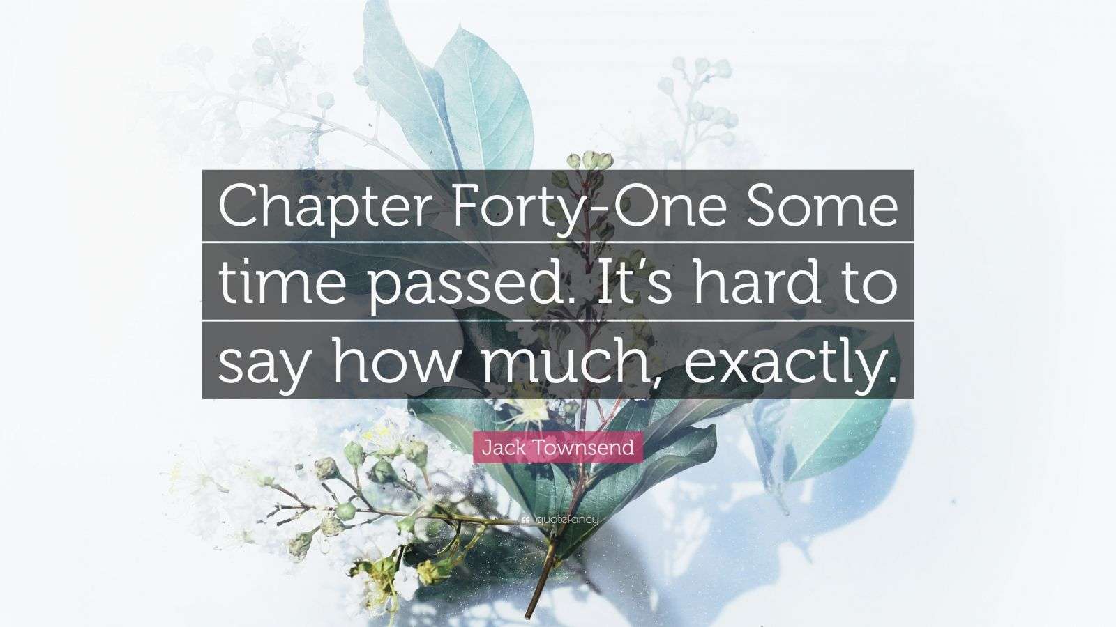 Jack Townsend Quote: “Chapter Forty-One Some time passed. It’s hard to ...
