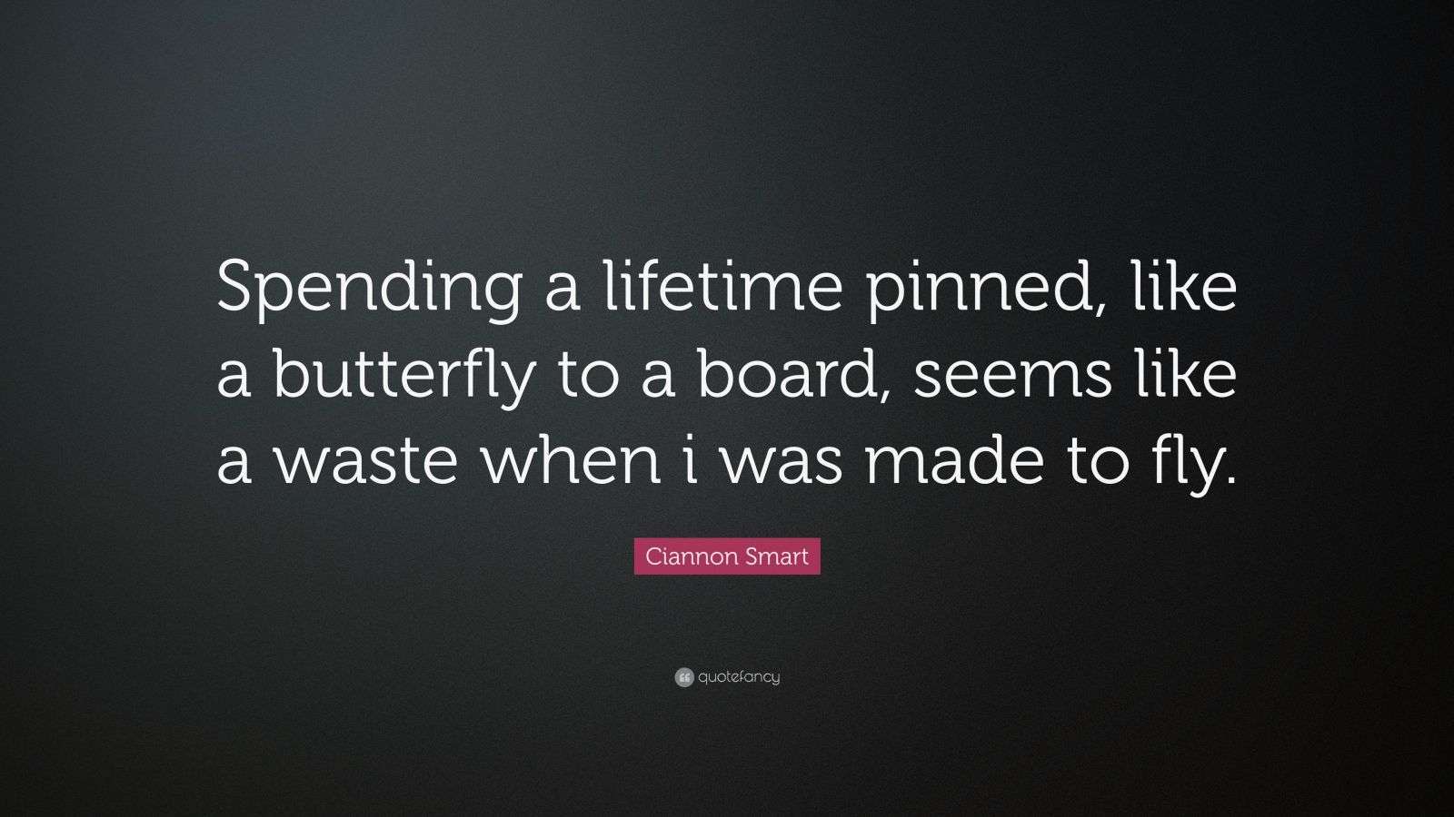Ciannon Smart Quote: “Spending a lifetime pinned, like a butterfly to a ...