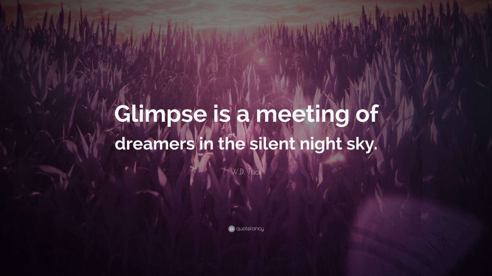 W.D. Tuck Quote: “Glimpse is a meeting of dreamers in the silent night ...