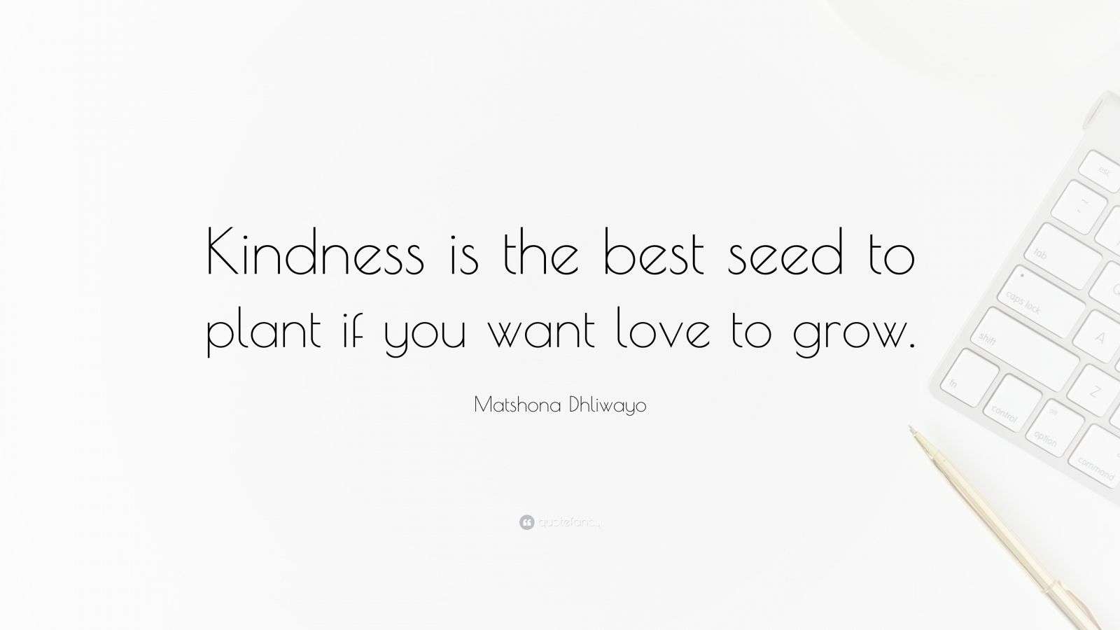 Matshona Dhliwayo Quote: “Kindness is the best seed to plant if you ...
