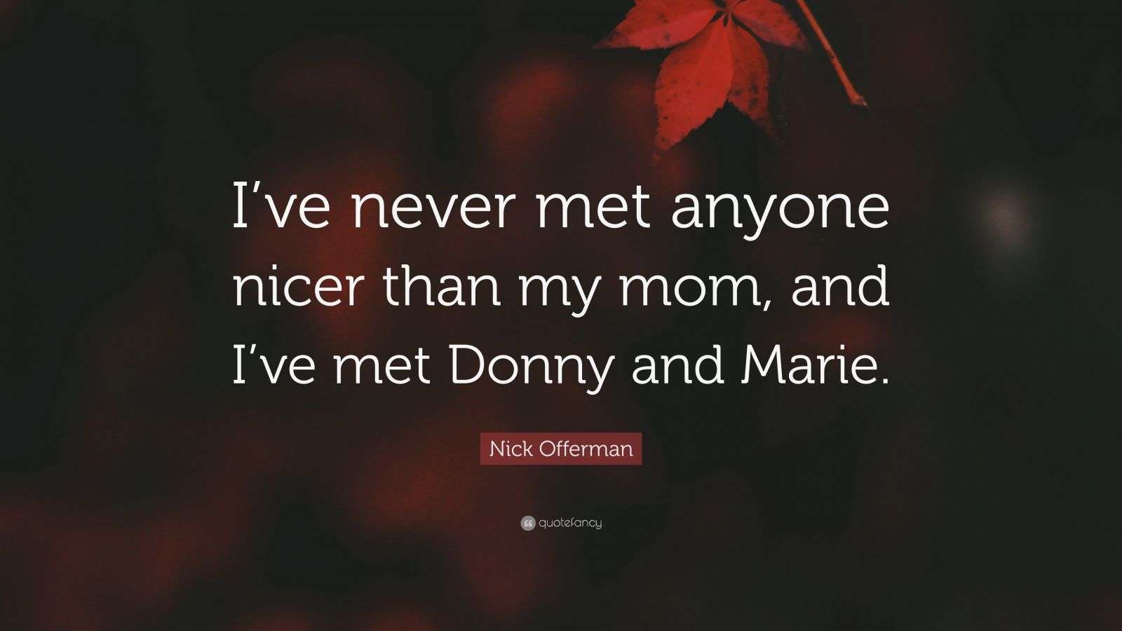 Nick Offerman Quote: “I’ve never met anyone nicer than my mom, and I’ve ...