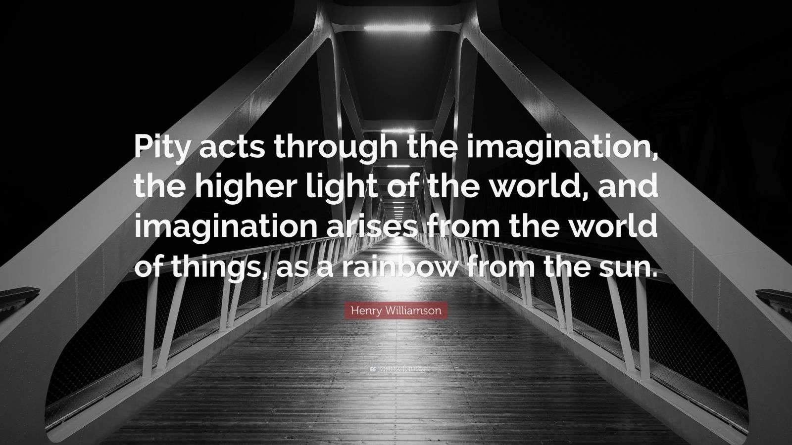 Henry Williamson Quote: “Pity acts through the imagination, the higher ...