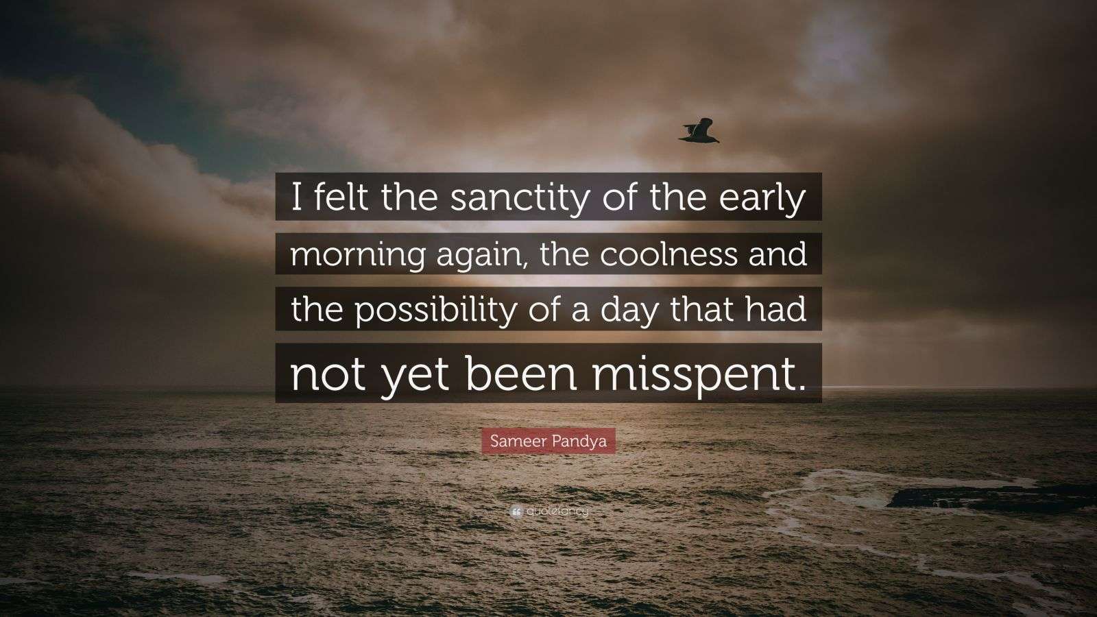 Sameer Pandya Quote: “I felt the sanctity of the early morning again ...