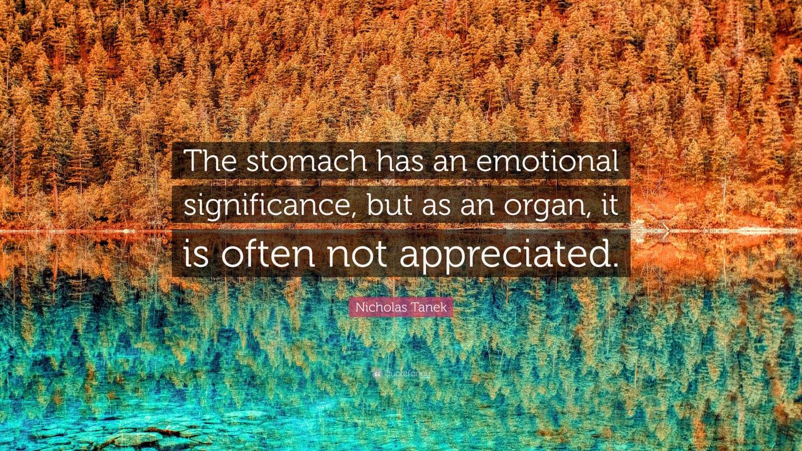 Nicholas Tanek Quote: “The stomach has an emotional significance, but ...
