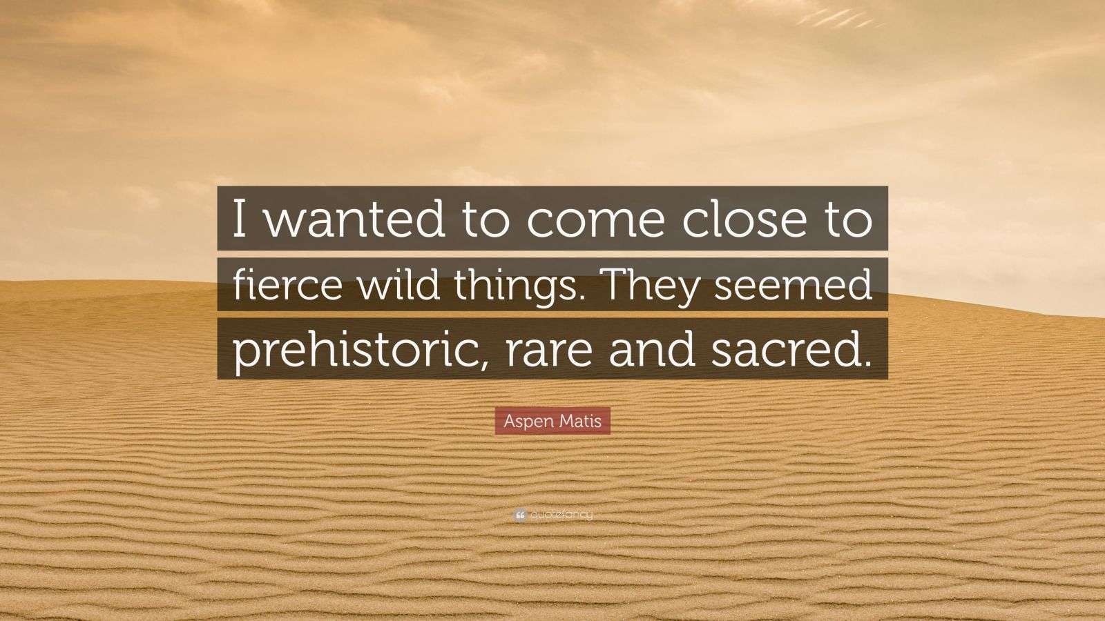 Aspen Matis Quote: “I wanted to come close to fierce wild things. They ...
