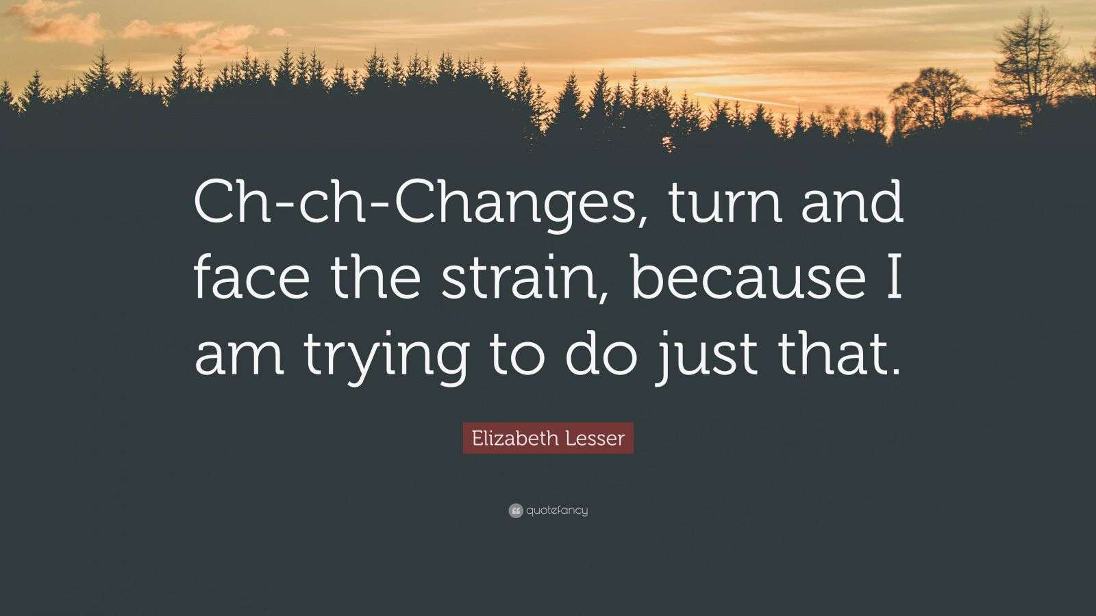 Elizabeth Lesser Quote: “Ch-ch-Changes, turn and face the strain ...