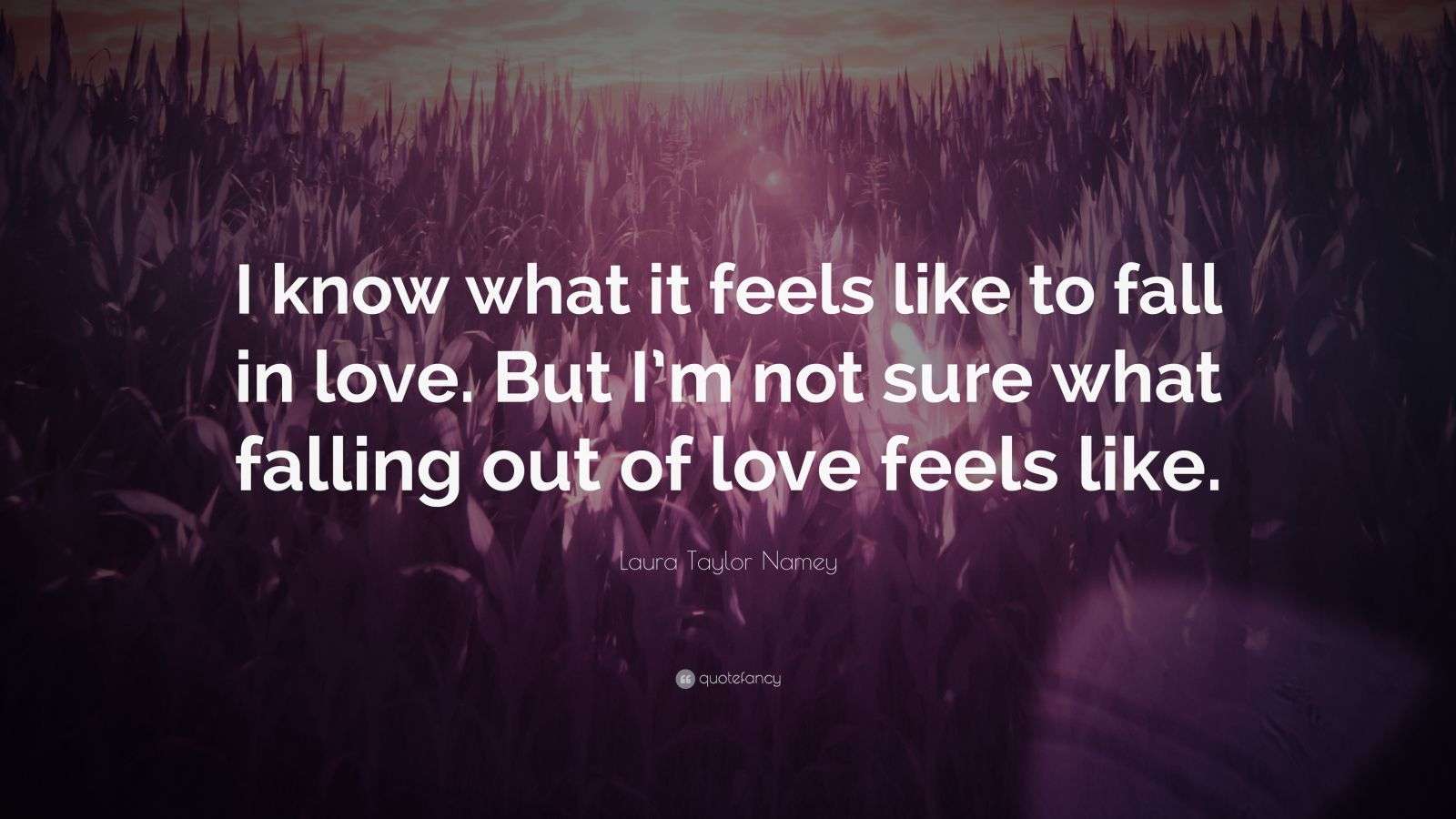 Laura Taylor Namey Quote: “I know what it feels like to fall in love ...