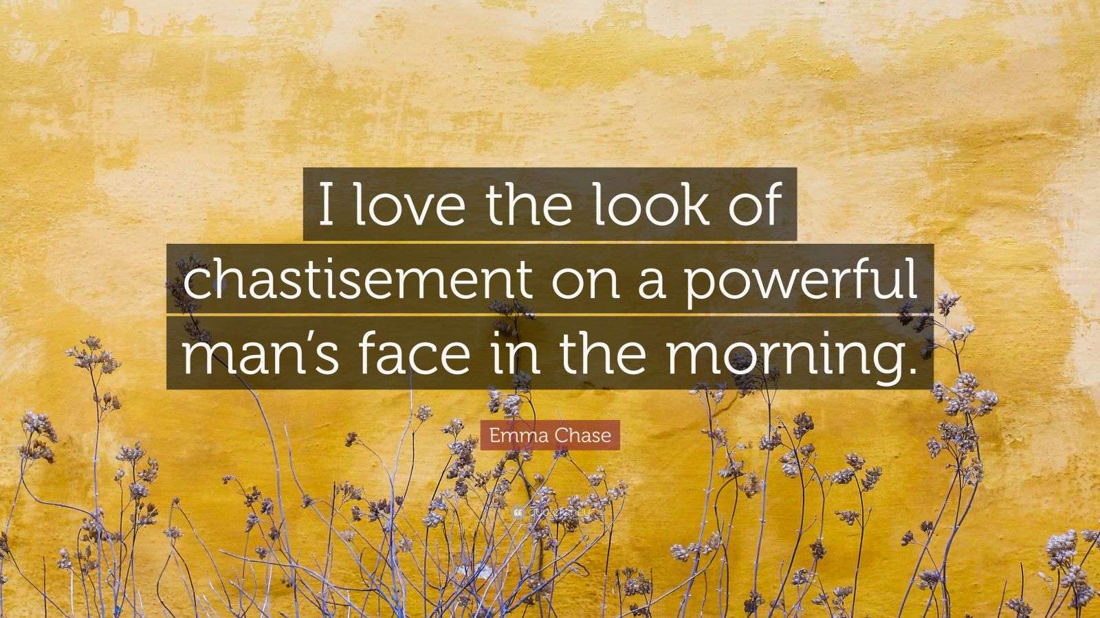 Emma Chase Quote: “I love the look of chastisement on a powerful man’s ...