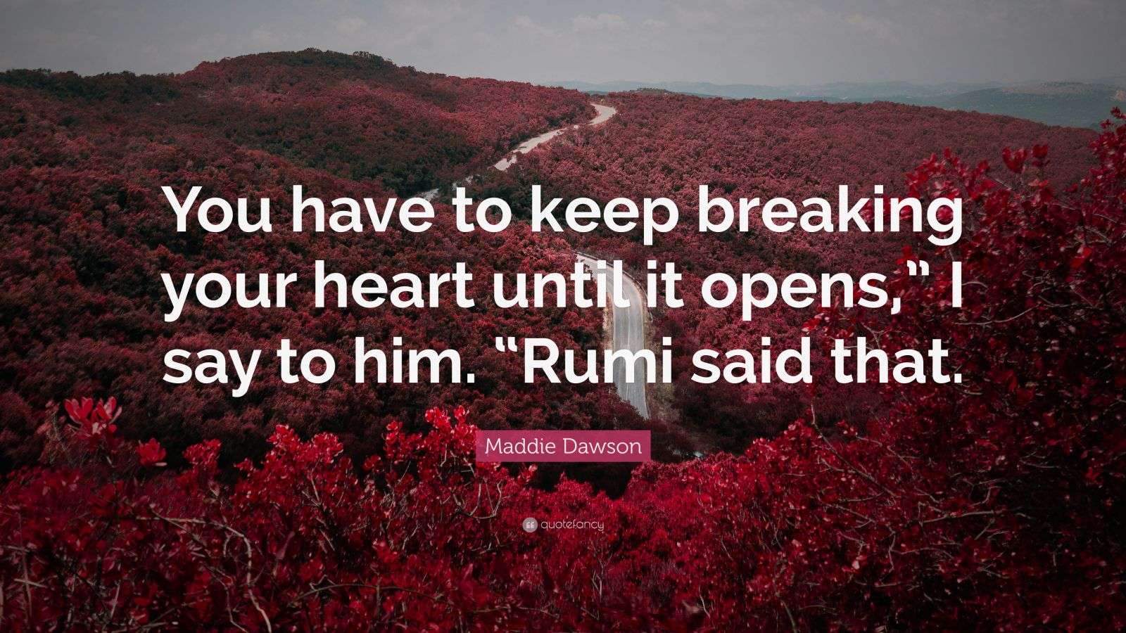 Maddie Dawson Quote: “You have to keep breaking your heart until it ...
